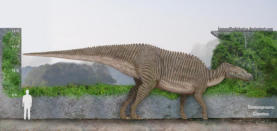 Shantungosaurus by SameerPrehistorica on DeviantArt