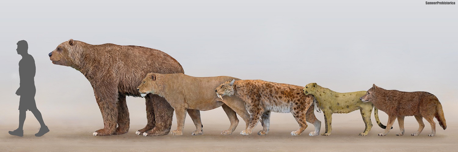 Snow Animals By Sameerprehistorica