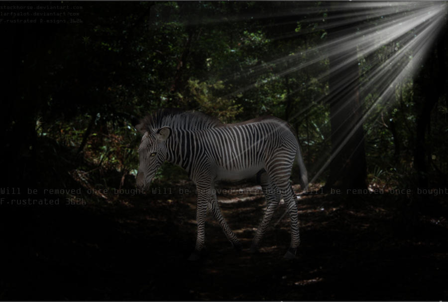 Dark zebra Version two by FrustratedsDesigns on DeviantArt