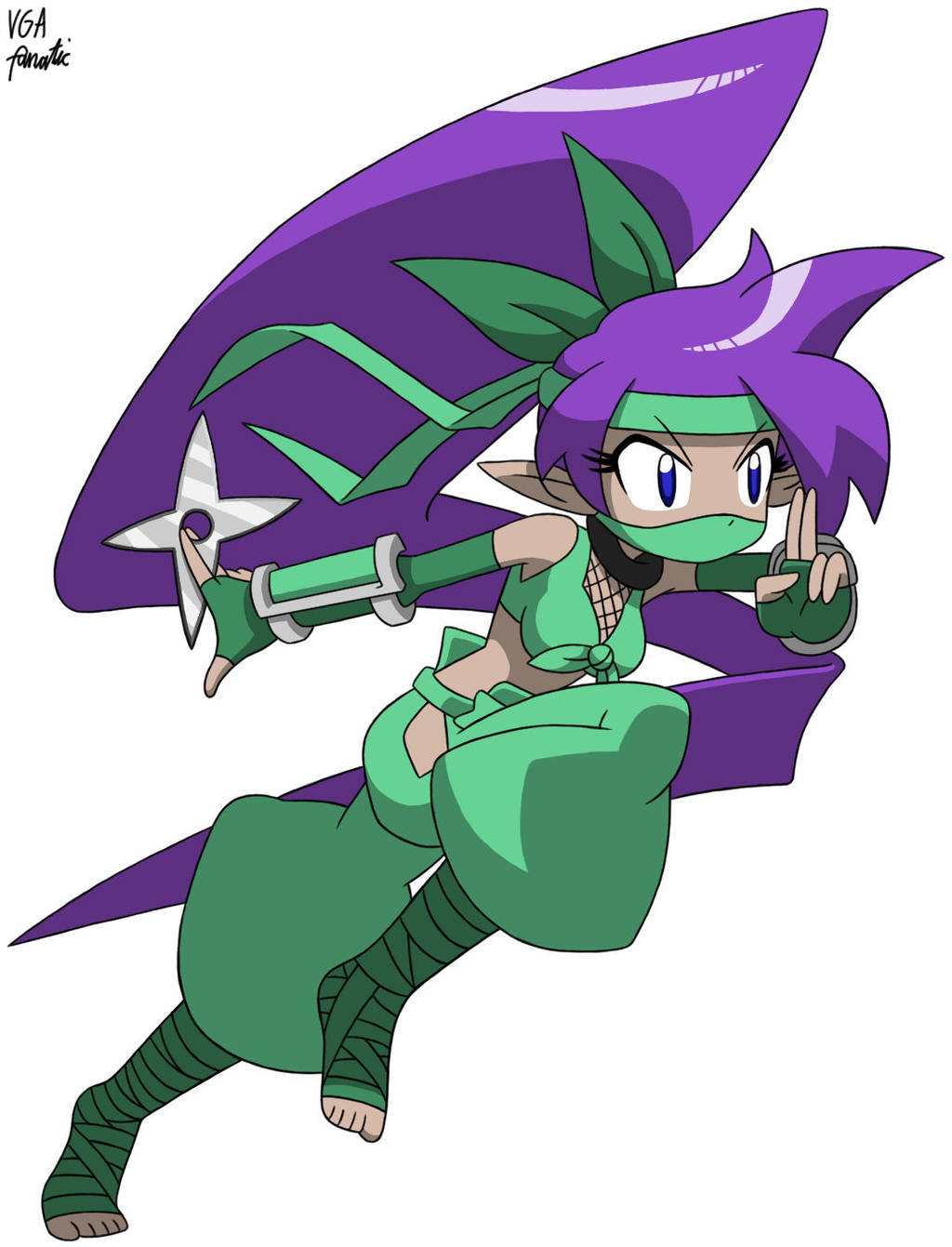 Ninja Shantae by VGAfanatic on DeviantArt