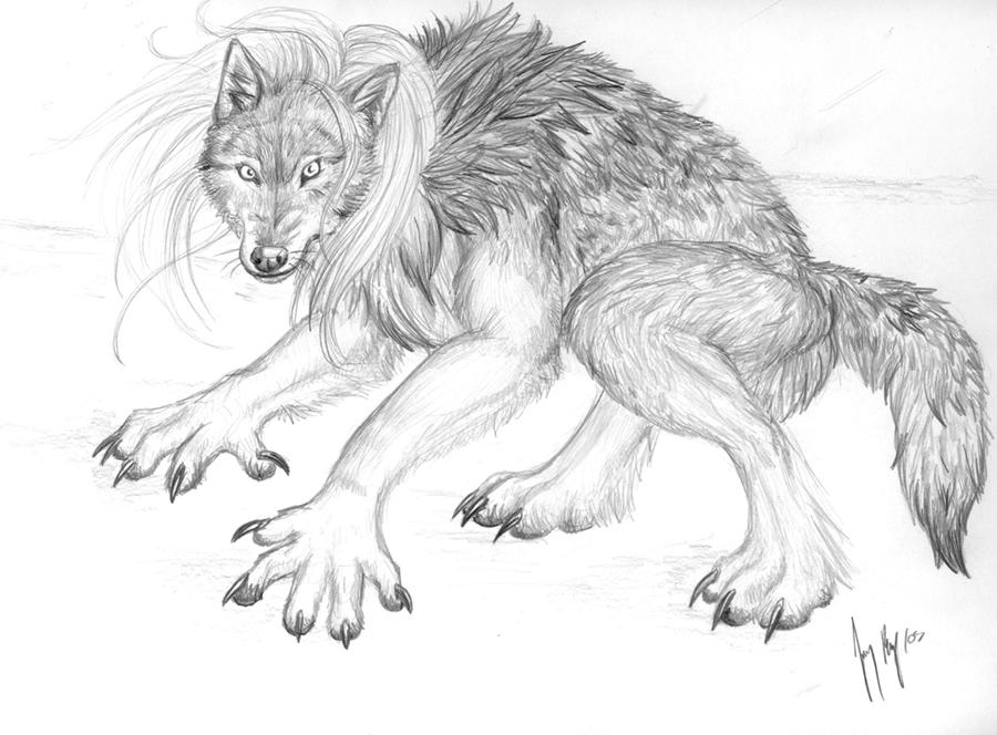 Aranias Art Gallery Transformation