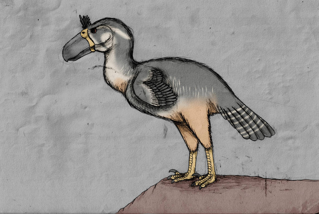 Megafauna: Paraphysornis brasiliensis by Austroraptor on DeviantArt