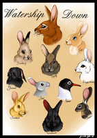 Black Rabbit of Inle, front by SafetyPins16 on DeviantArt