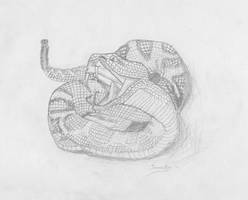 Kaisa - 2014 by s-e-n-s-u-k-a on DeviantArt