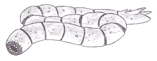 #mongoliandeathworm | Explore mongoliandeathworm on DeviantArt