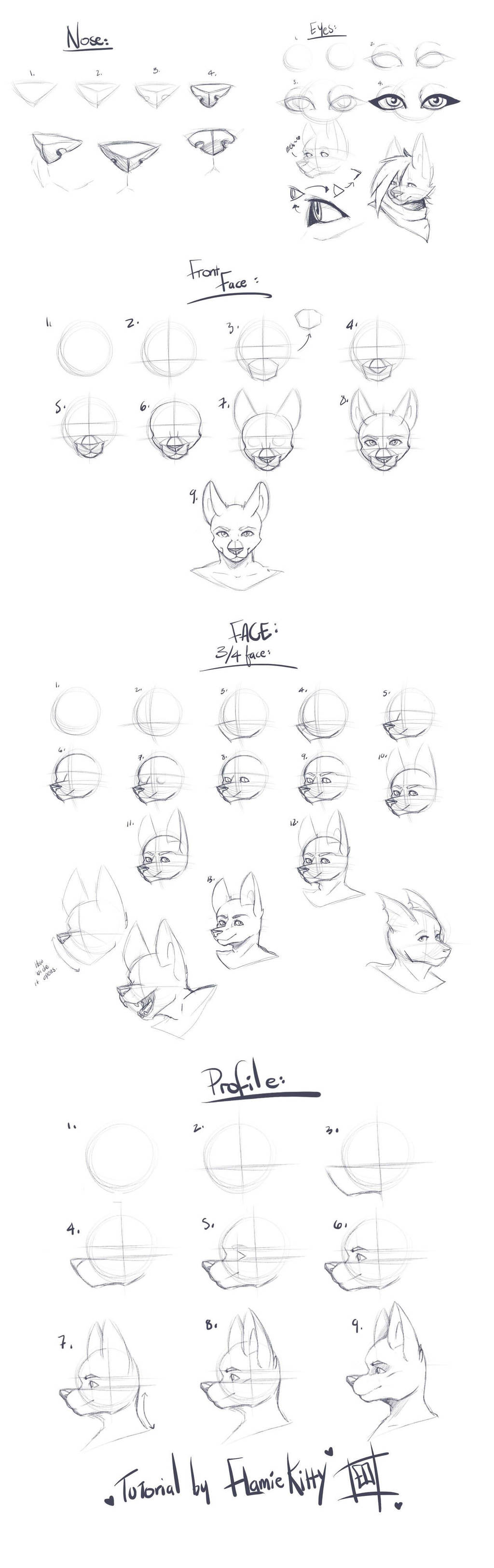 Tutorial- Furry/Anthro heads by FlamieDeWynter on DeviantArt