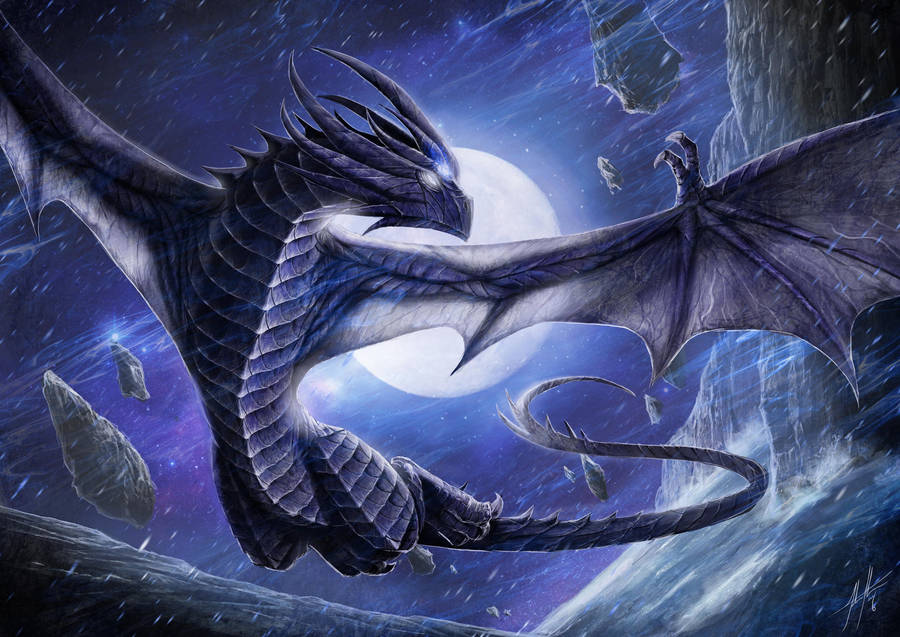 Wyverns favourites by VaylerSilv on DeviantArt