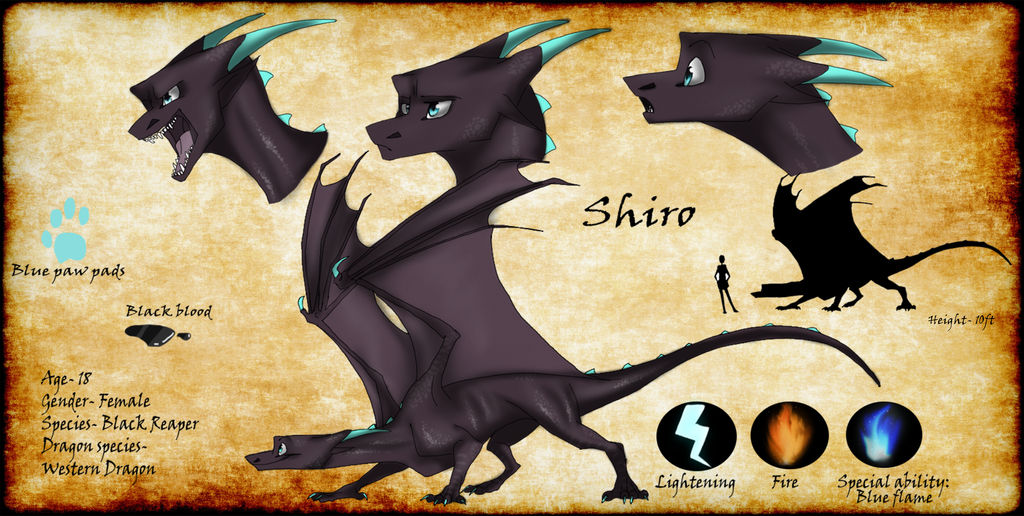 Shiro The Dragon Reference Sheet (New) by AshUTM1002 on DeviantArt