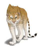 Tiger Friends by Kamirah on DeviantArt