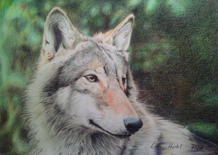 Wolf portrait IV - Dreaming of a better future by BeckyKidus on DeviantArt