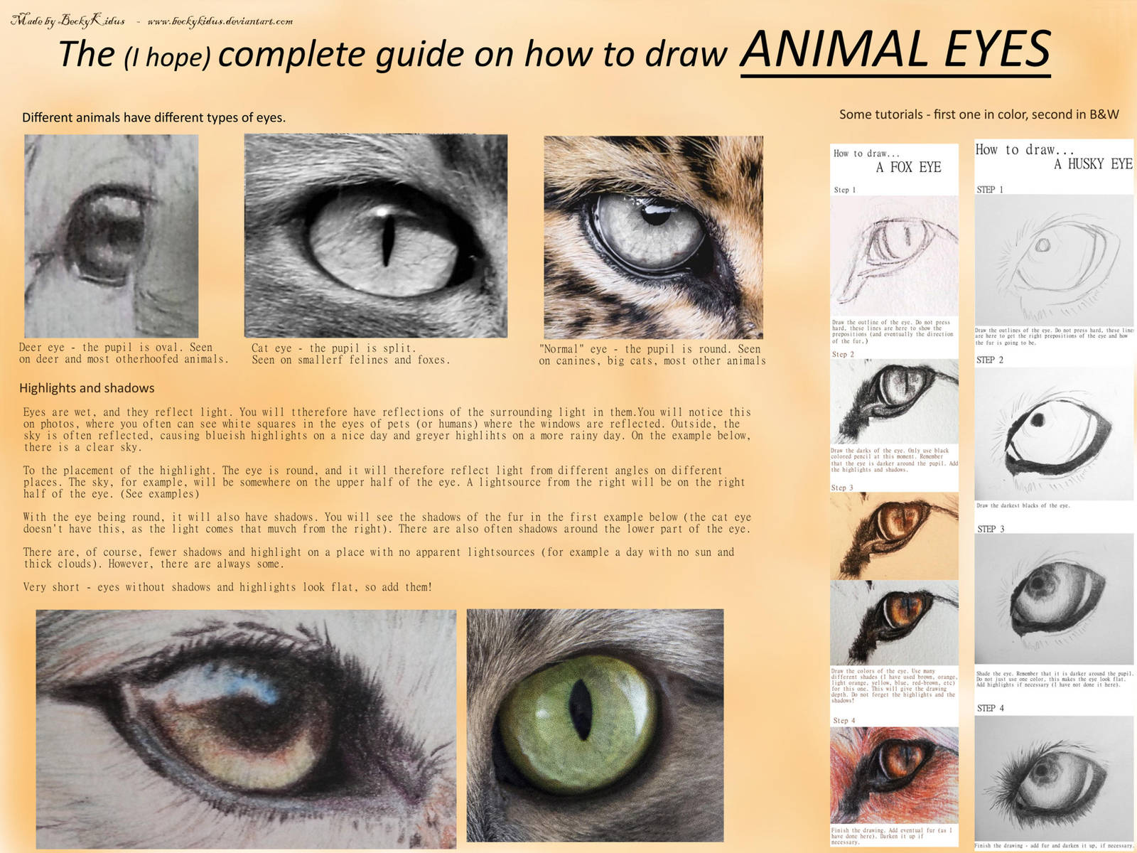 The (I hope) complete guide on ANIMAL EYES by BeckyKidus on DeviantArt