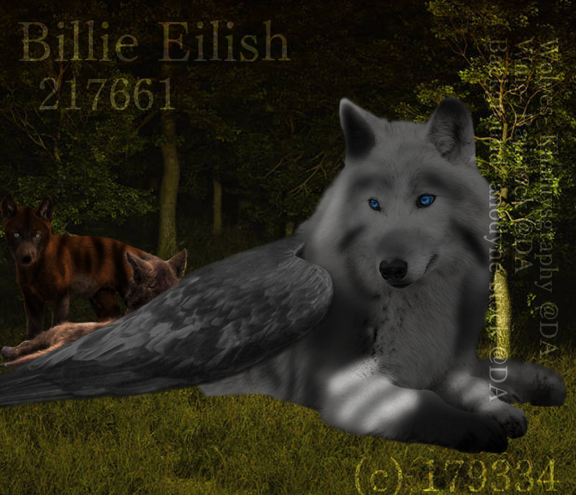 New Life by Khalliysgraphy on DeviantArt