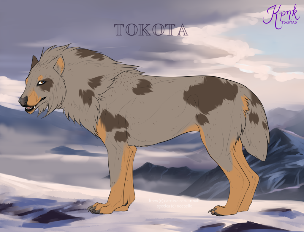 Tokota 33265 by TotemSpirit on DeviantArt