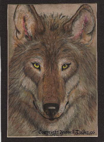 RussellTuller's DeviantArt Gallery