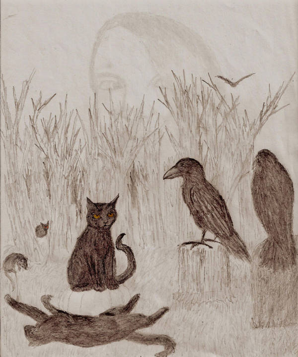 cats and ravens by Rhahsid on DeviantArt