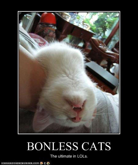 Boneless cats by PrismaticAngel on DeviantArt