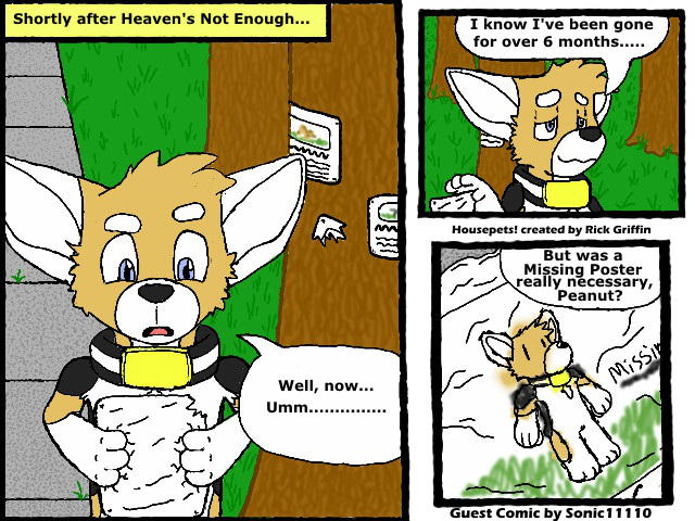 Housepets! Guest Comic - Missing in Action by Sonic11110 on DeviantArt