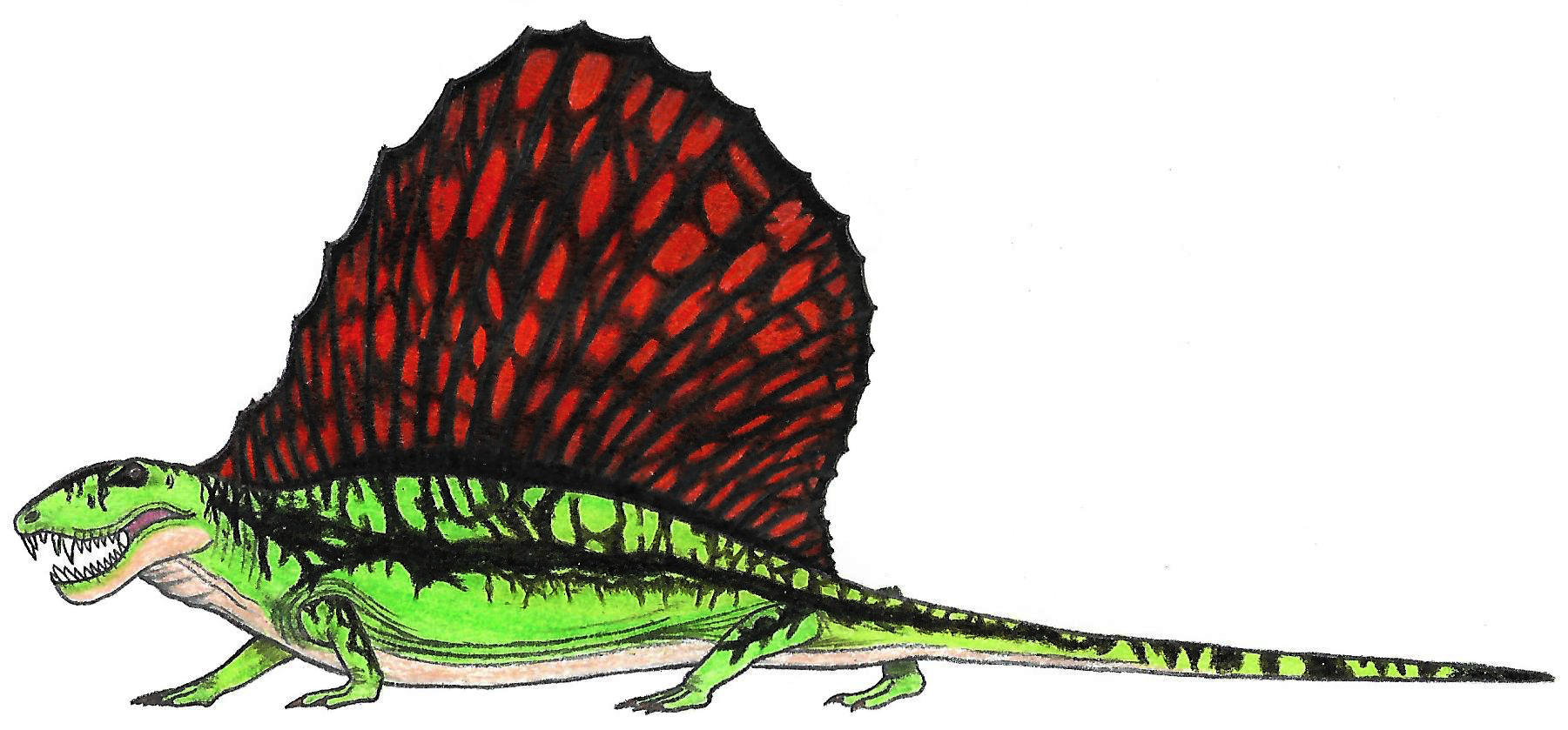 Dimetrodon by Venofoot on DeviantArt