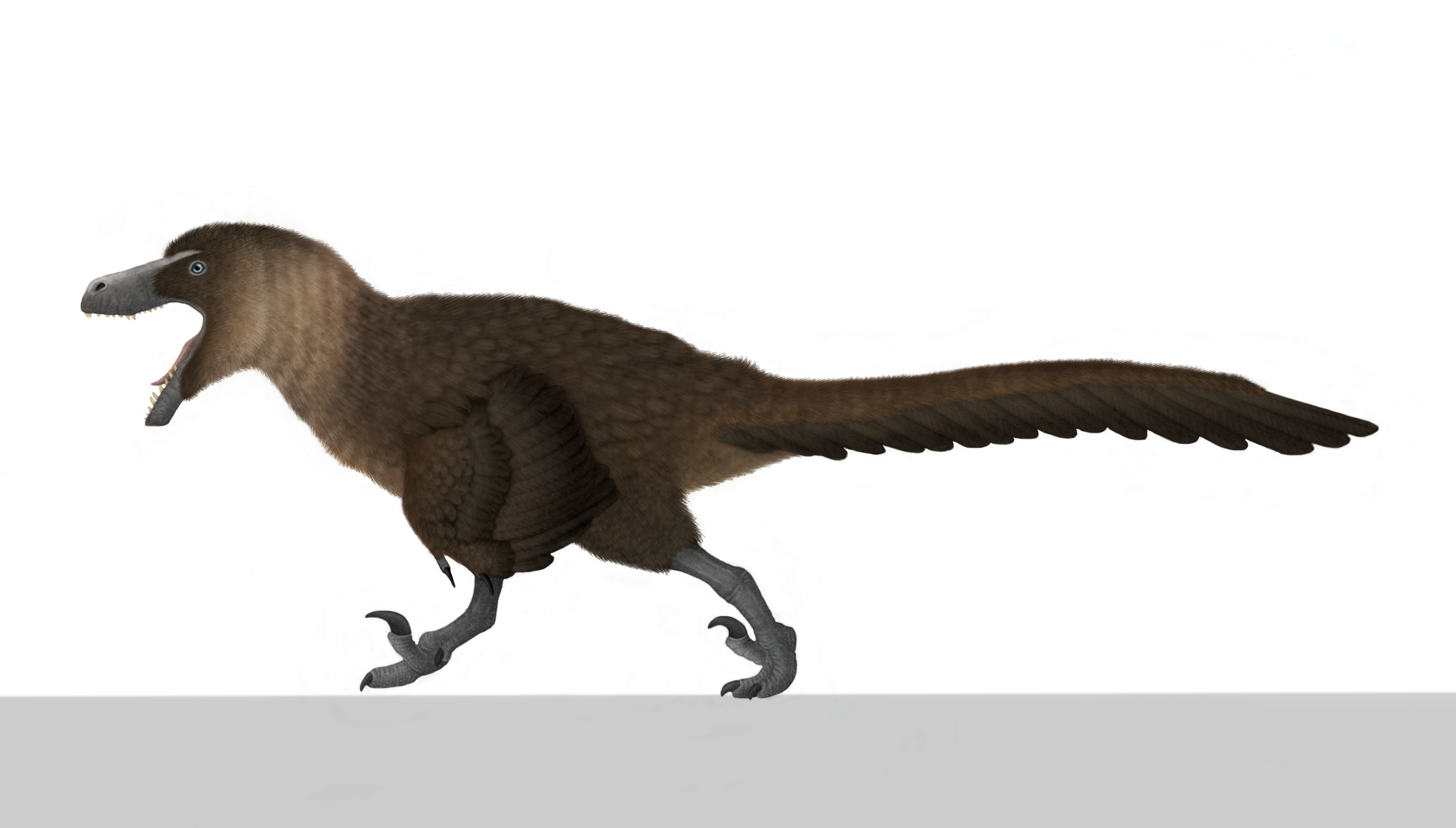 Extinct Animals favourites by Terraraptor on DeviantArt