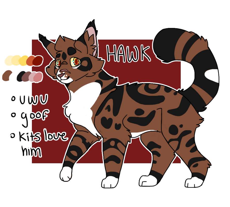 Hawk Reference 2019 by hawkthespork on DeviantArt