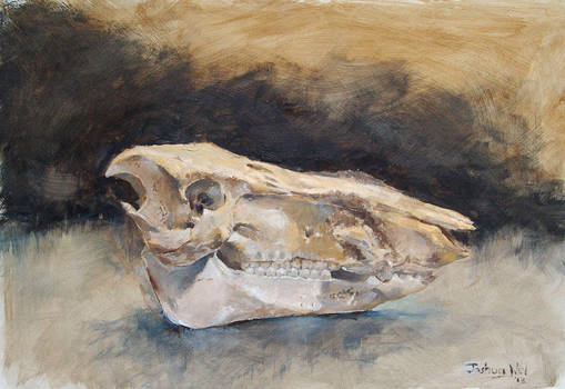 #bushpig | Explore bushpig on DeviantArt