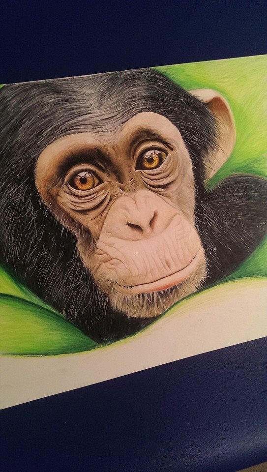 Chimp by rickdz on DeviantArt