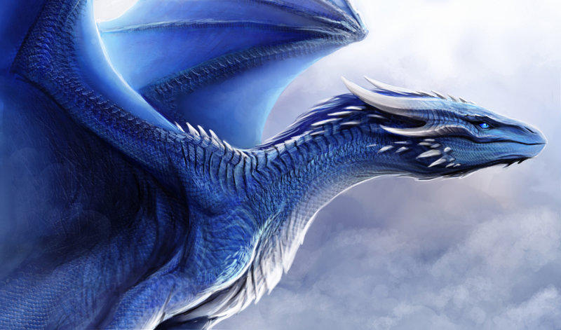 Saphira et Eragon favourites by Korryoyo3 on DeviantArt