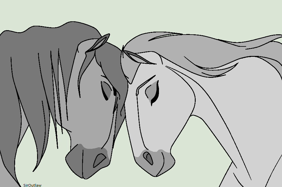 Horse Base, Stallion x Mare by SirOutlaw on DeviantArt