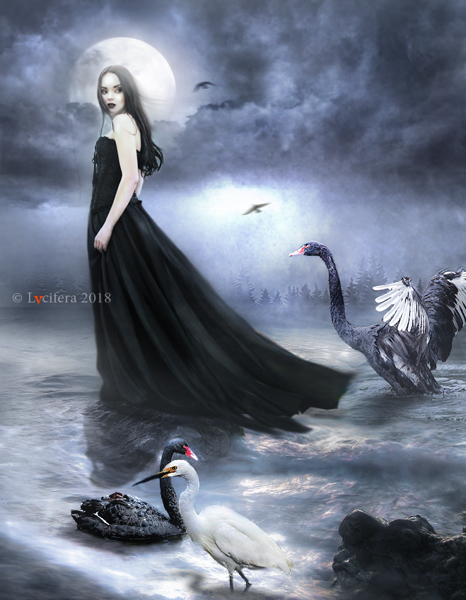 all-deviants | DeviantArt