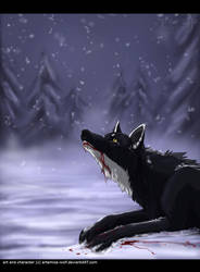 #wolfblood | Explore wolfblood on DeviantArt