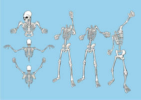 Free Vector Bones Art Pack by artamp on DeviantArt
