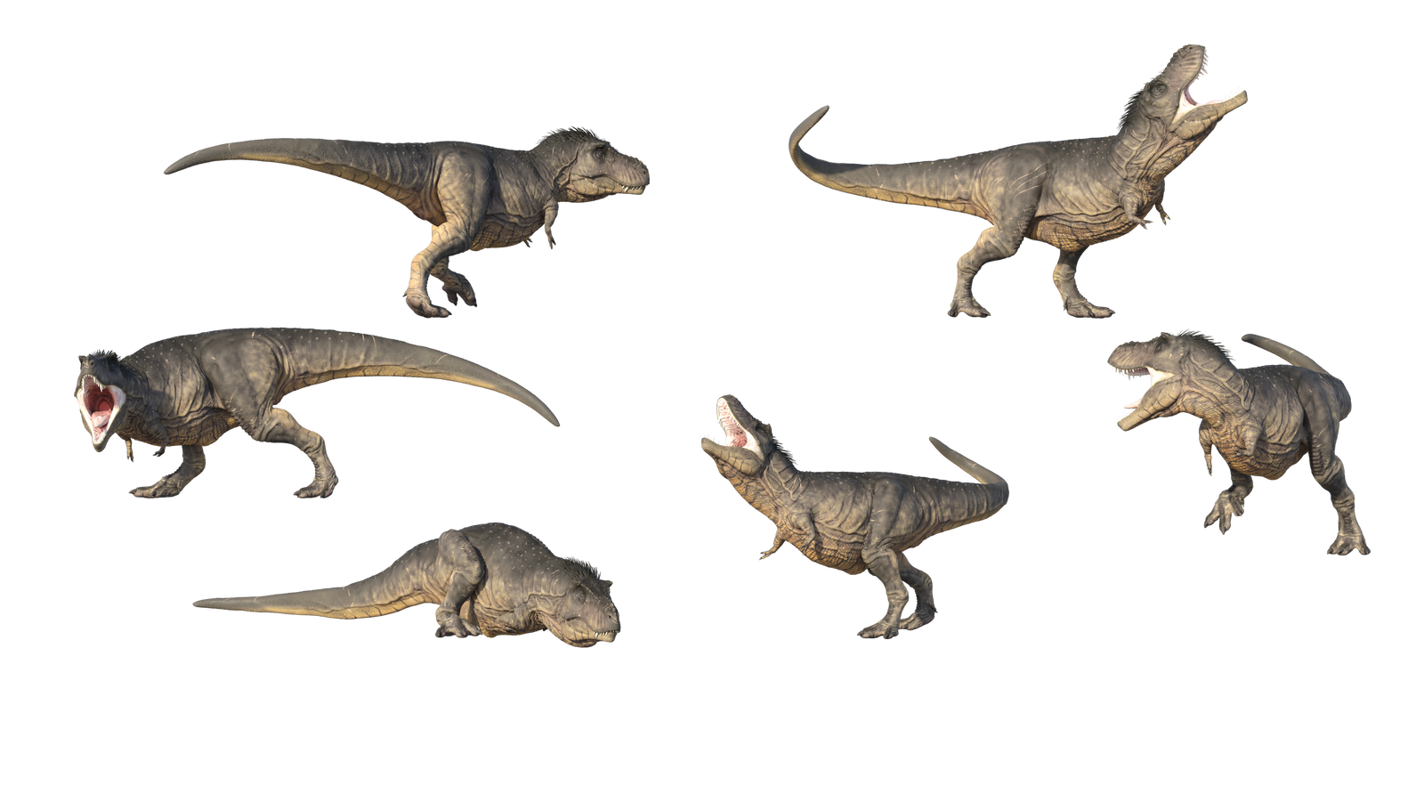 Free Stock PNG: T-Rex realistic renders by ArtReferenceSource2 on ...