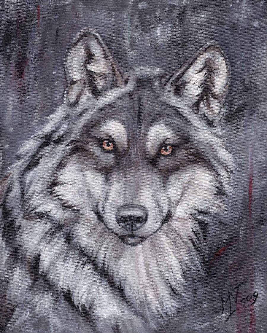 Varg by Kattvalk on DeviantArt