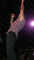 M.Shadows and Synyster Live 09 by FallenForLife on DeviantArt