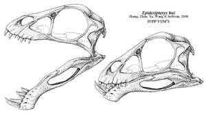 Olorotitan arharensis by Olorotitan on DeviantArt