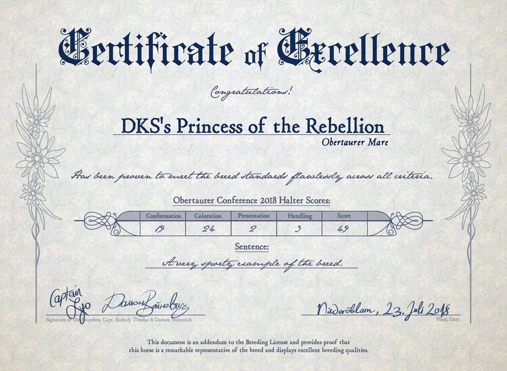 DKS' Princess of the Rebellion by Padfoot7411 on DeviantArt