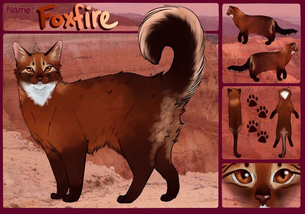 Redburst Ref by PatchyFallenstar on DeviantArt