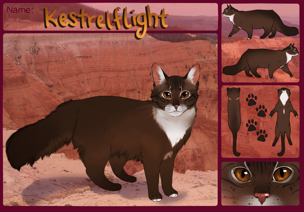 Foxfire Ref by PatchyFallenstar on DeviantArt