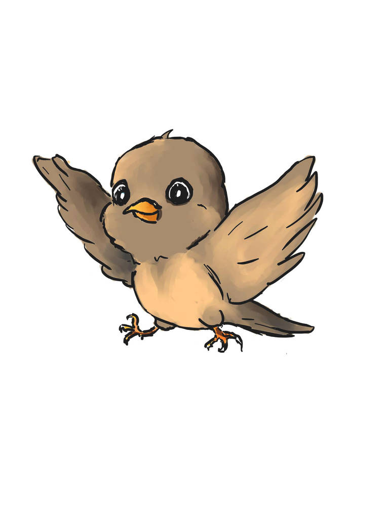 Birds Flashcard Flashcards Flashcards For Kids Learning English For