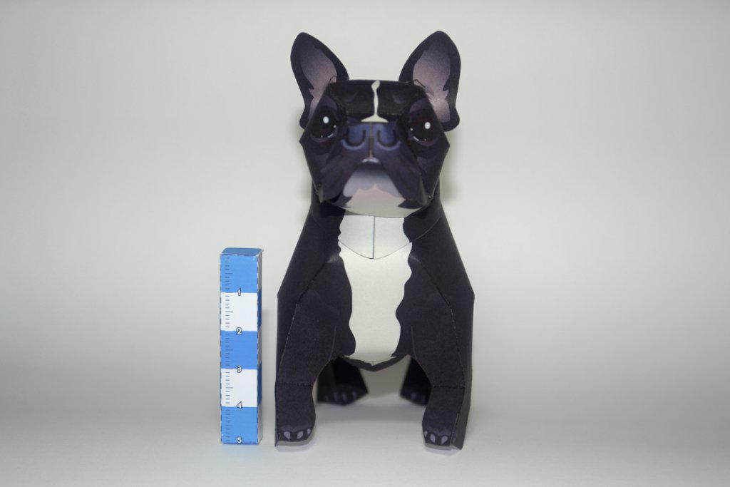 French bulldog papercraft by airasumi on DeviantArt