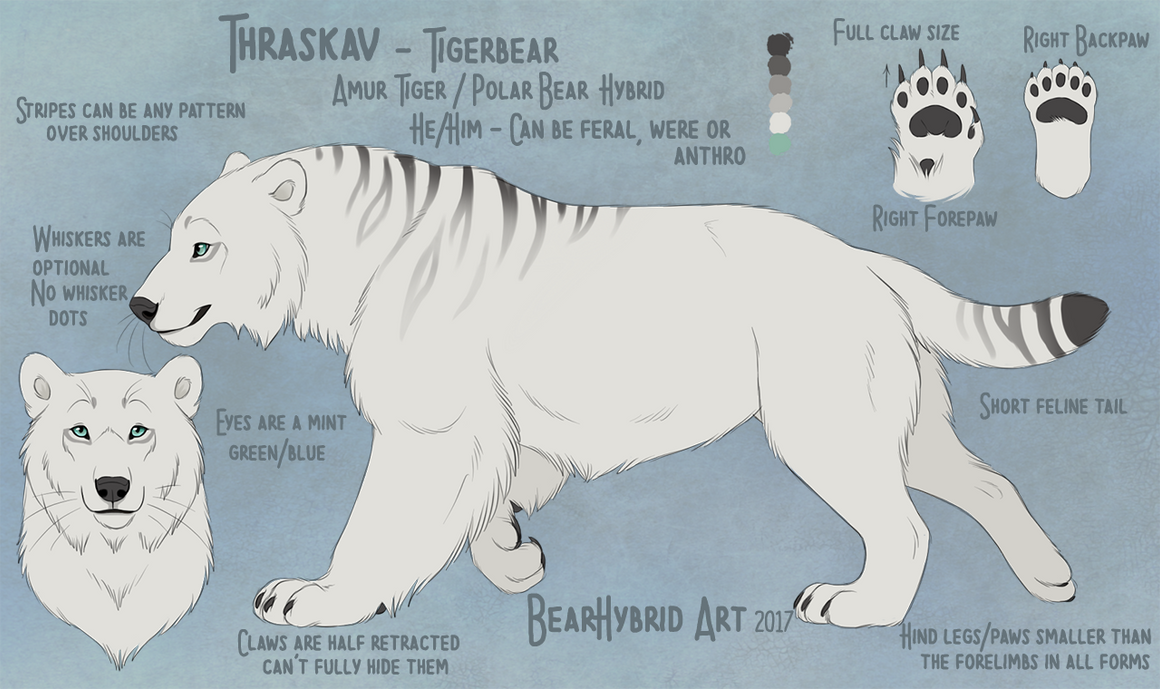 New Polartiger reference by Bear-hybrid on DeviantArt