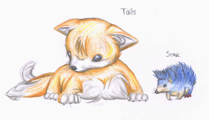 Sonic and Tails: Real animals by SV-Spinny on DeviantArt