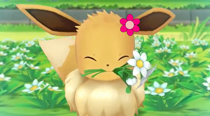 Pokemon Quest: Vivi picked up some Flowers by WillDinoMaster55 on ...