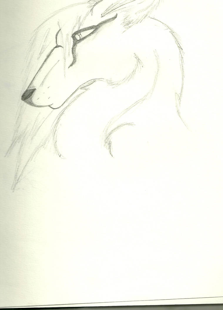Sad wolf by toothless-dragon590 on DeviantArt
