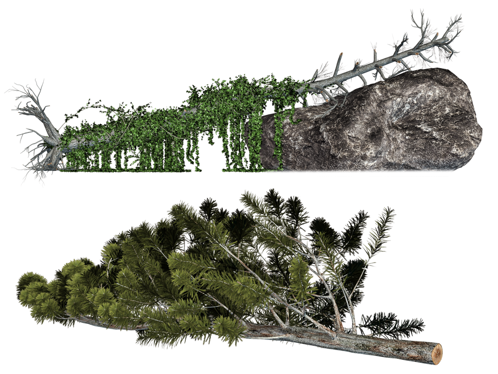 Fallen Trees 01 PNG Stock by Roy3D on DeviantArt