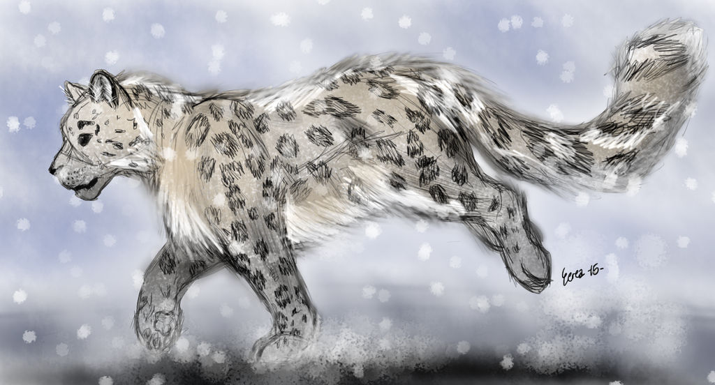 sNOW LEOPARD by eerea on DeviantArt