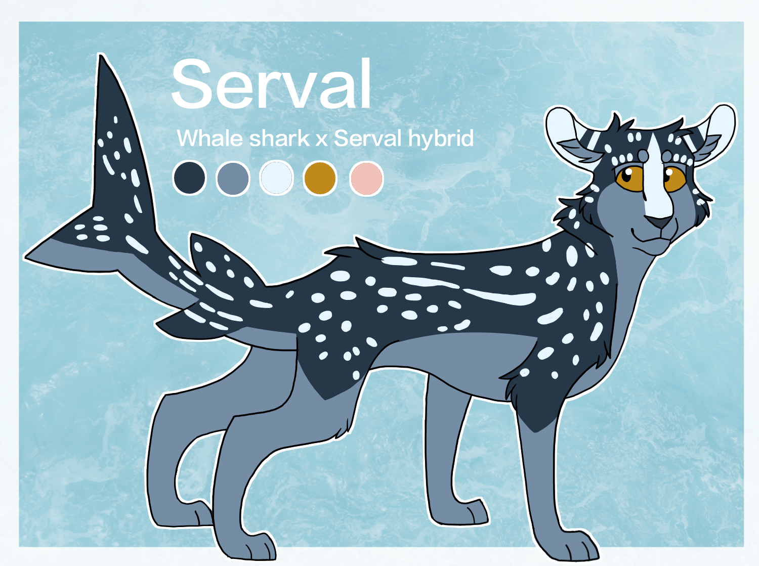 Official Serval Reference Sheet 2017-2018 by servalshark on DeviantArt
