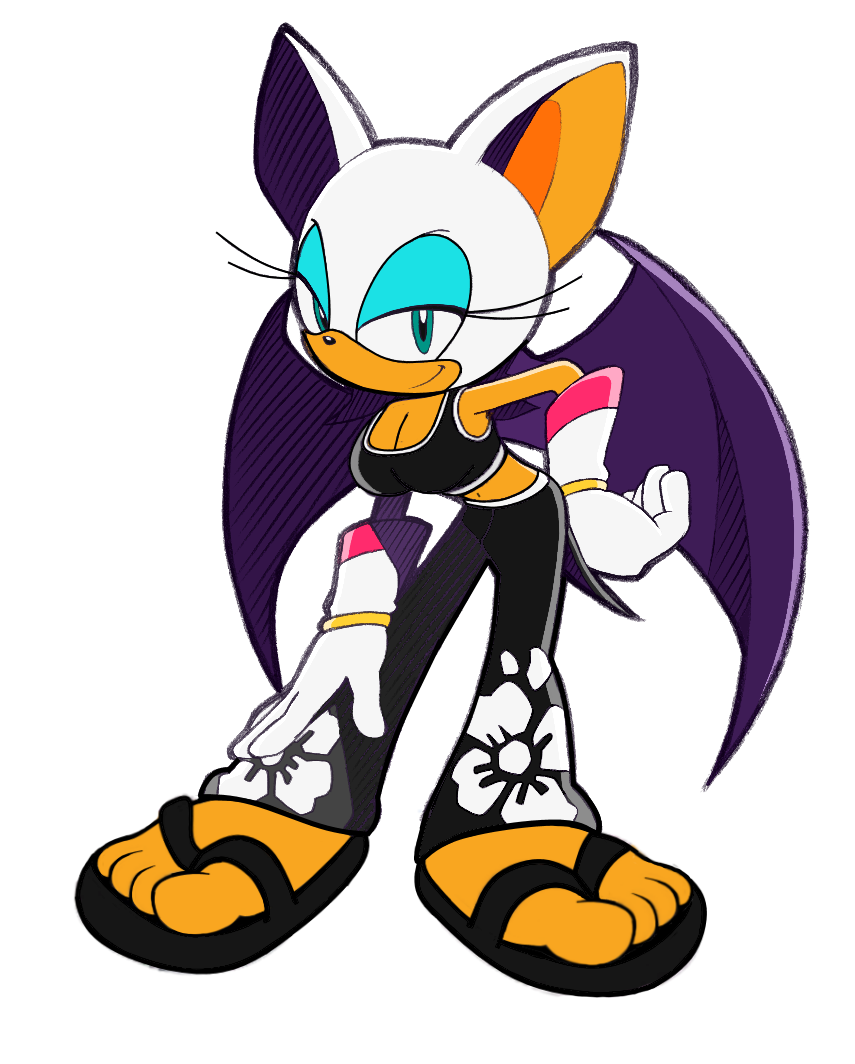 Rouge the Bat Flip Flop edit (Sonic Riders) by PrincessZaria on DeviantArt