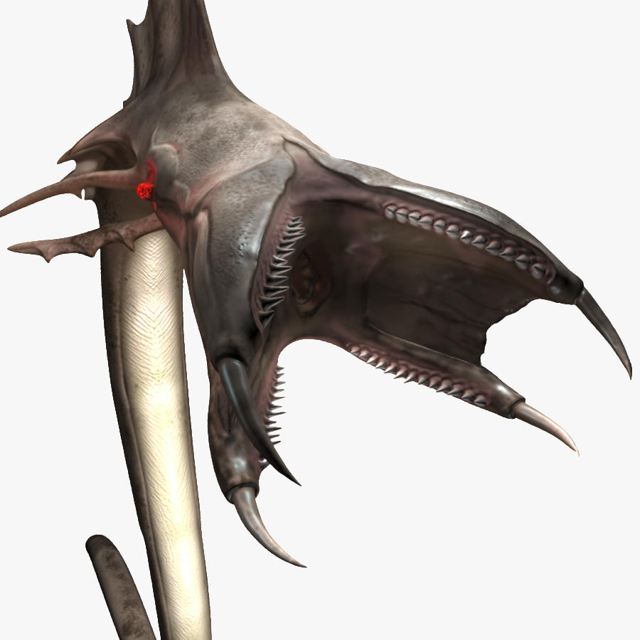 Goa'uld symbiote by monster-hut on DeviantArt