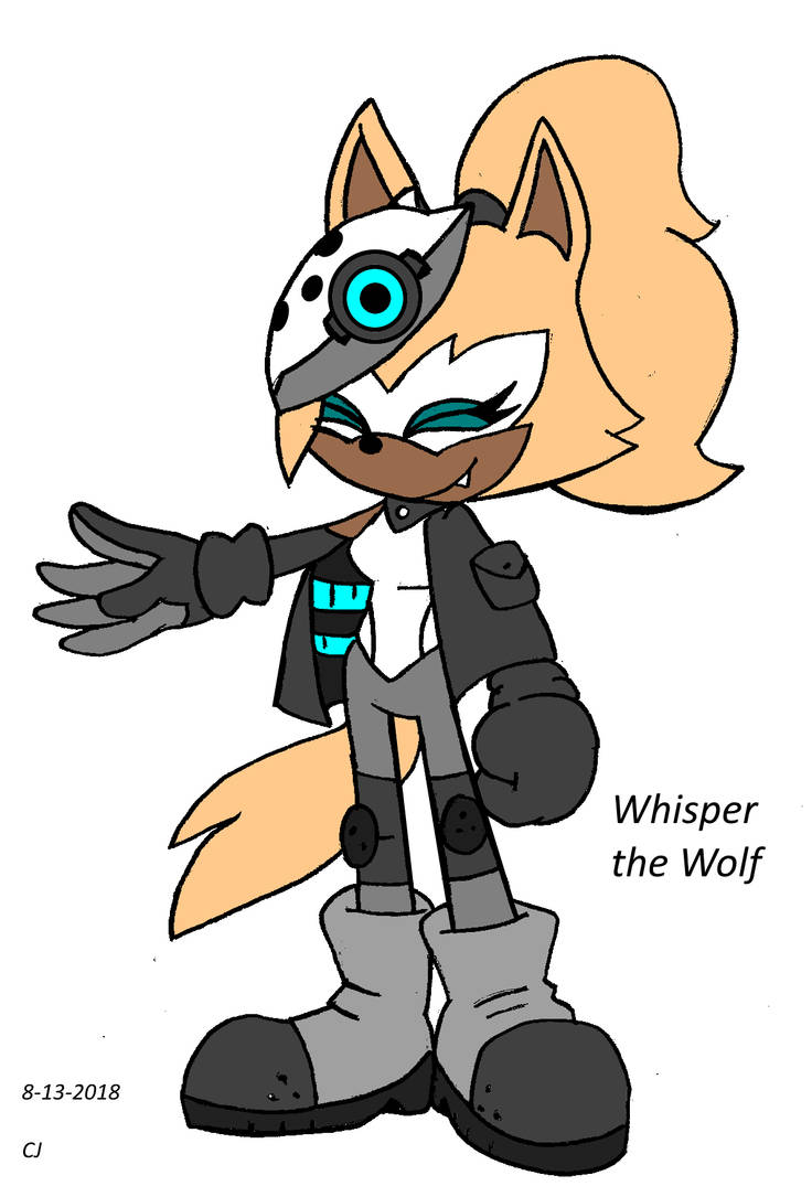 Whisper the Wolf: Sonic IDW by FrostTheHobidon on DeviantArt